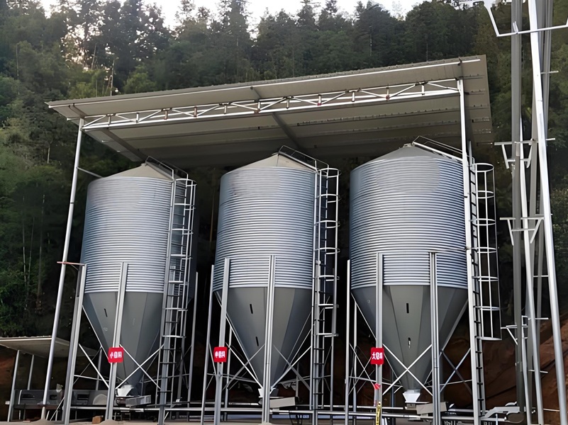 Modern Bulk Feed Storage Systems for Poultry Feed Safety - Shandong ...