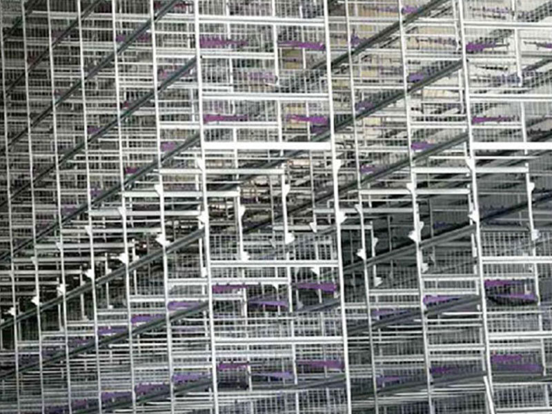 Commercial Layer Cage Systems for Egg Farms - Shandong Jucheng ...
