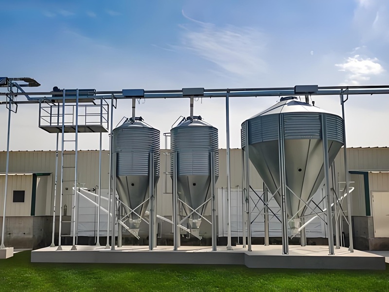 Pig Farm Automation: How IoT and AI Are Transforming Livestock ...