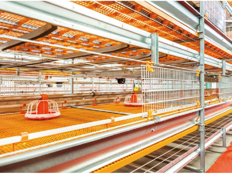 Pig Farm Feed Storage and Delivery System - Shandong Jucheng Angirling ...