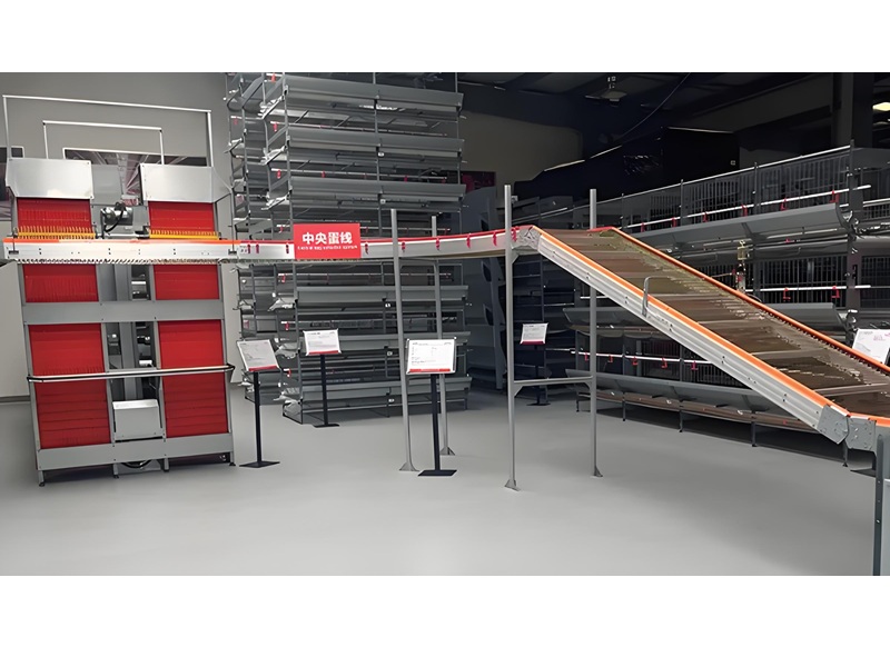 Feed Conveyor Tank Systems Revolutionize Automated Poultry and Swine ...