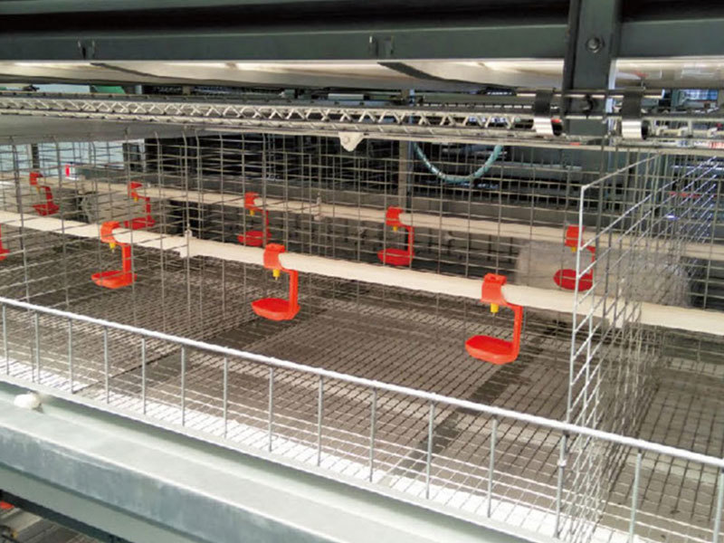 Why Pig Farm Manure Separators Are Essential for Large-Scale Operations ...