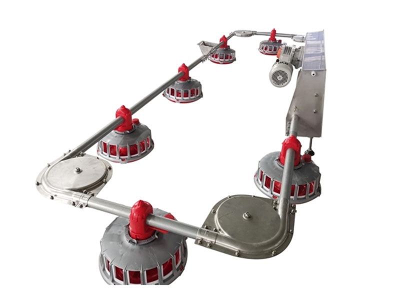 Automated Pig Farm Equipment Enhancing Farm Sustainability - Shandong ...